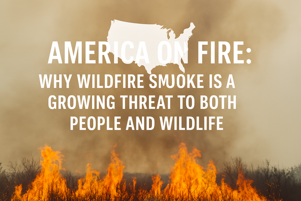 America on Fire: Why Wildfire Smoke is a Growing Threat to Both People ...